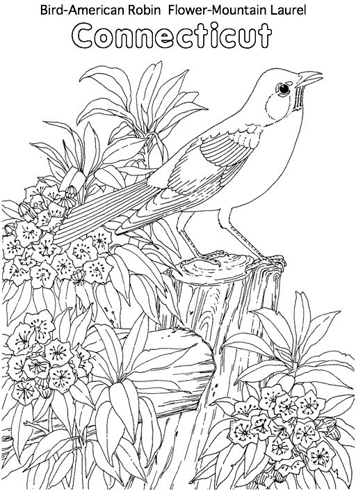 A to Z Kids Stuff | CT State Bird